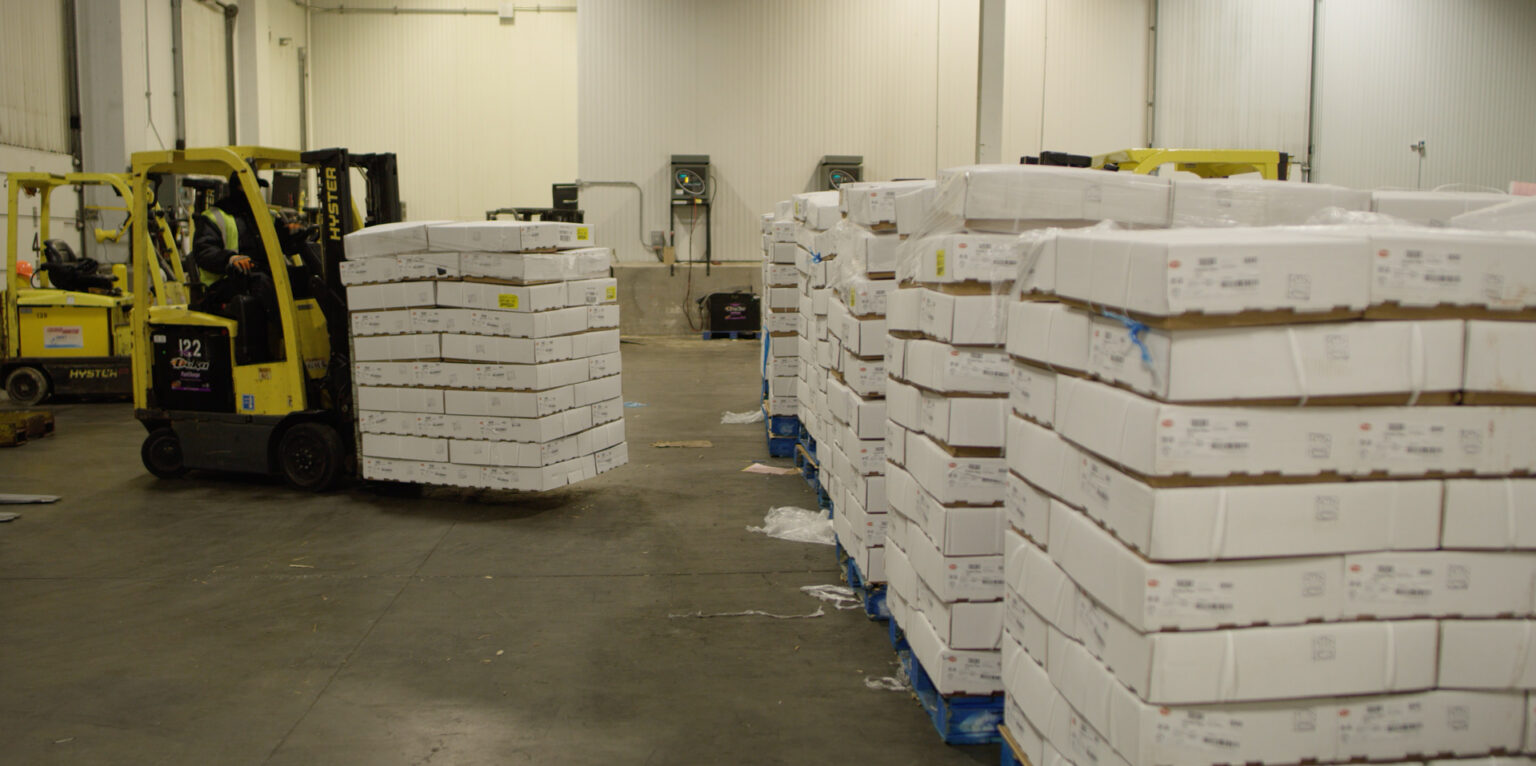 Cold Storage Facilities: Solutions for Cold Chain Logistics